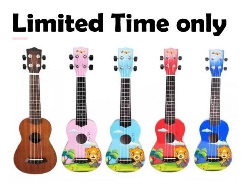 Ukubear Ukulele Class (EN) – Ukubear